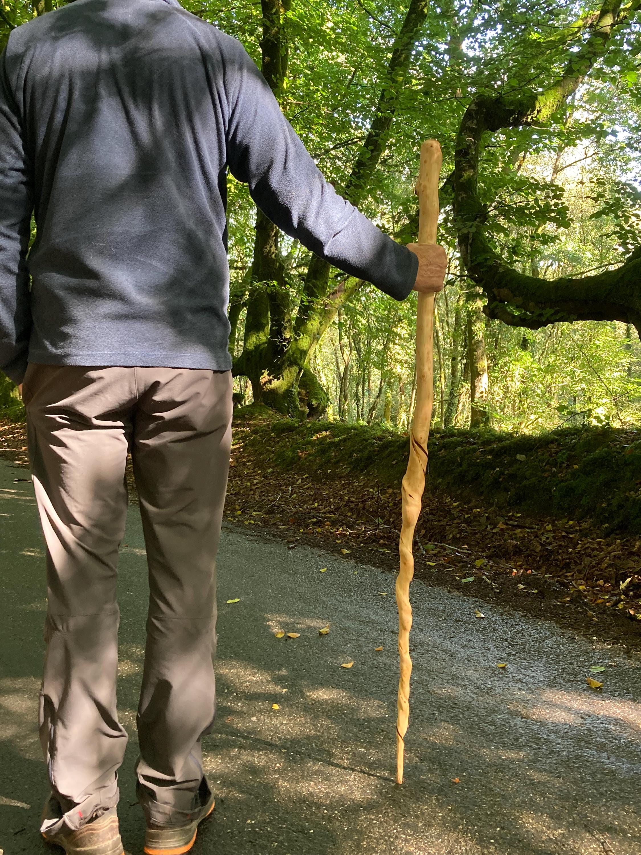 Silver Birch Twisted Walking Staff | Druid Staff | Wizard Staff | Witch ...