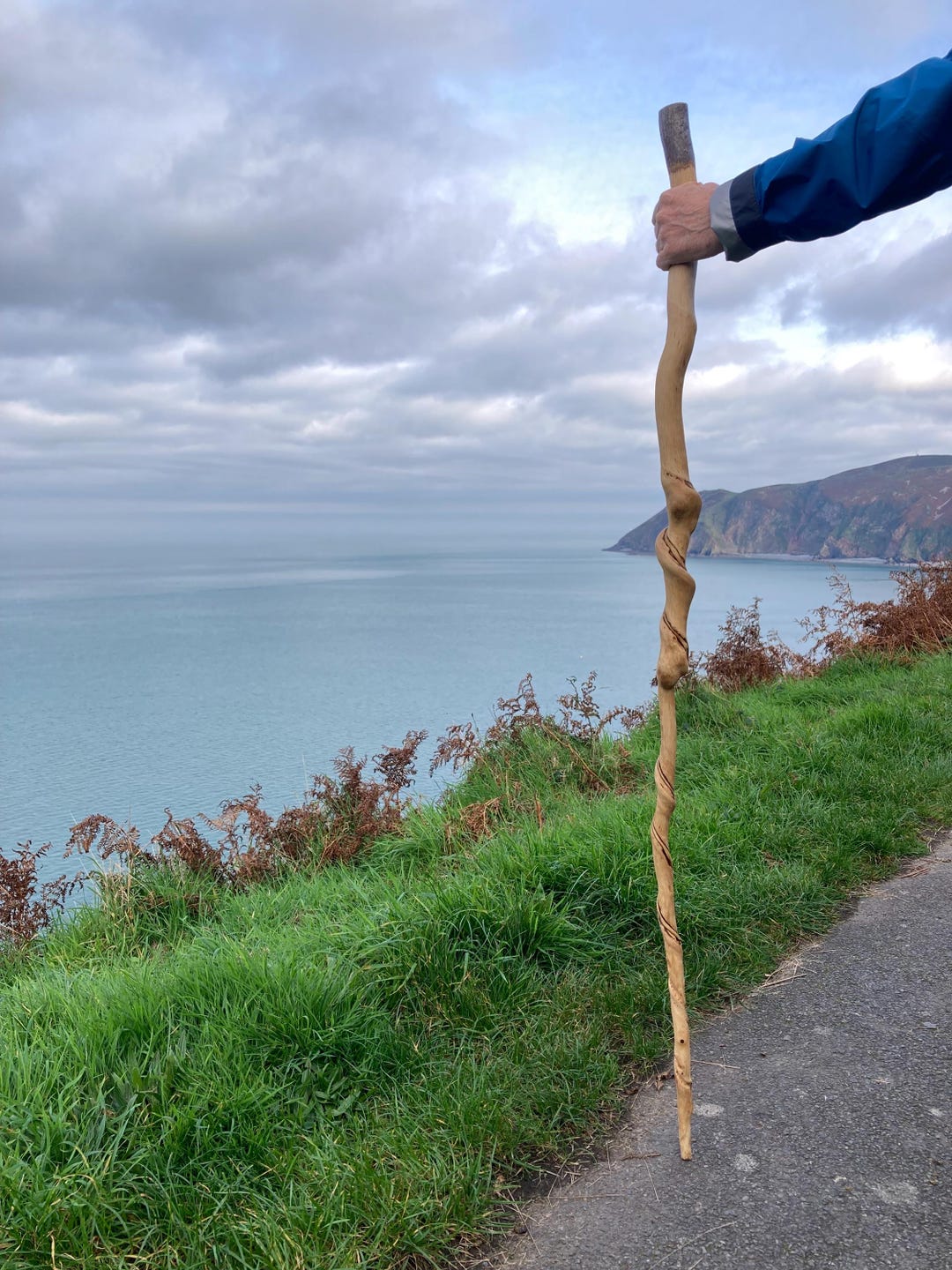 Hornbeam Staff Woodland Staff Walking Staff Larp Staff Ceremonial Staff ...