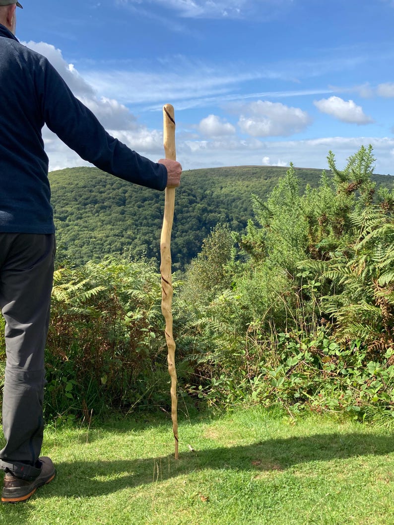 Silver Birch Twisted Walking Staff | Druid Staff | Wizard Staff | Witch ...