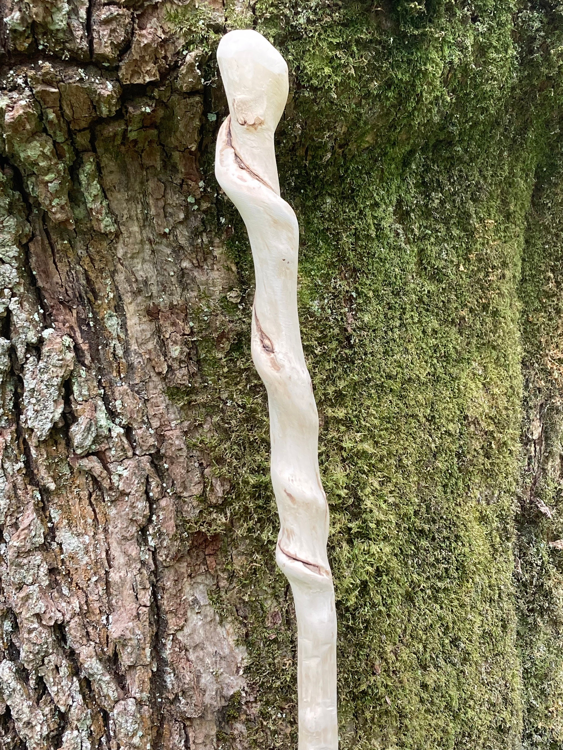 Hornbeam Druid Staff Pagan Staff Ceremonial Staff Wizard - Etsy UK