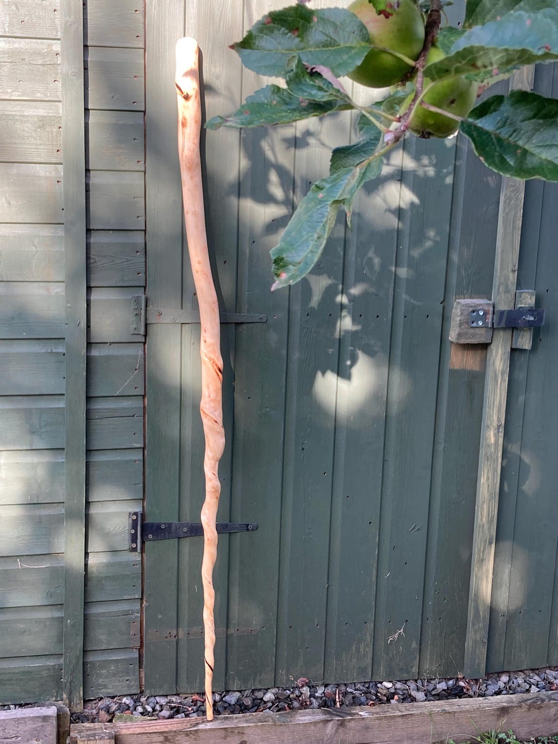 Silver Birch Twisted Walking Staff | Druid Staff | Wizard Staff | Witch ...