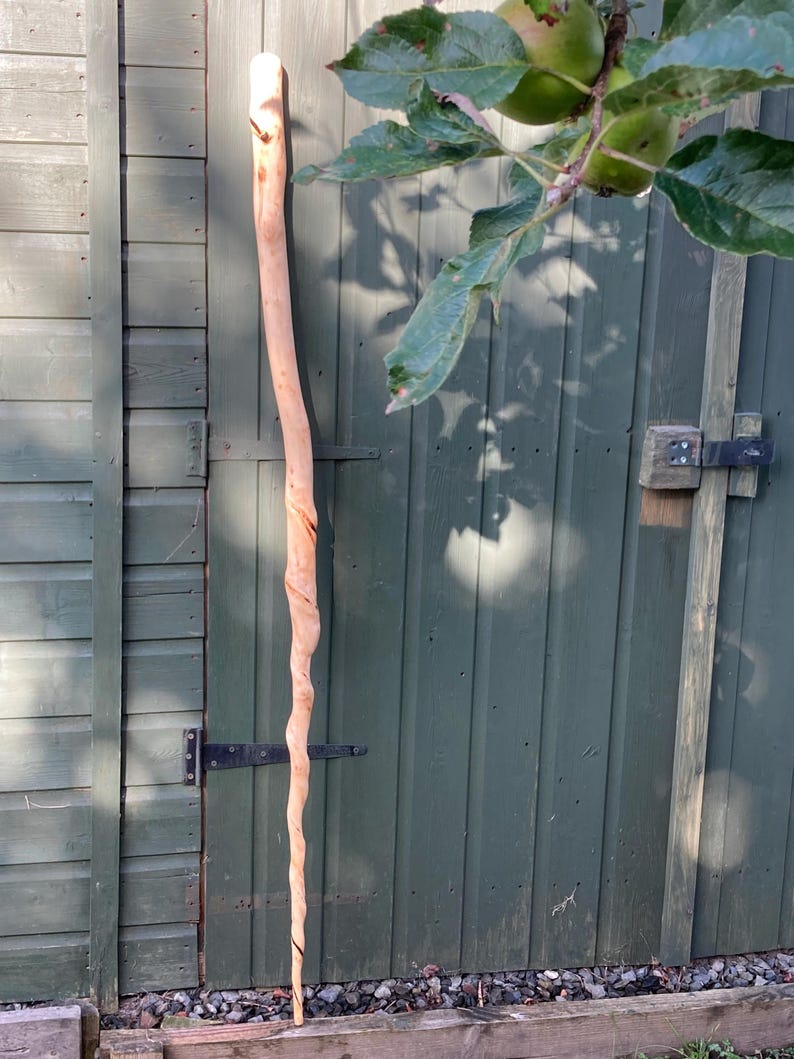 Silver Birch Twisted Walking Staff | Druid Staff | Wizard Staff | Witch ...