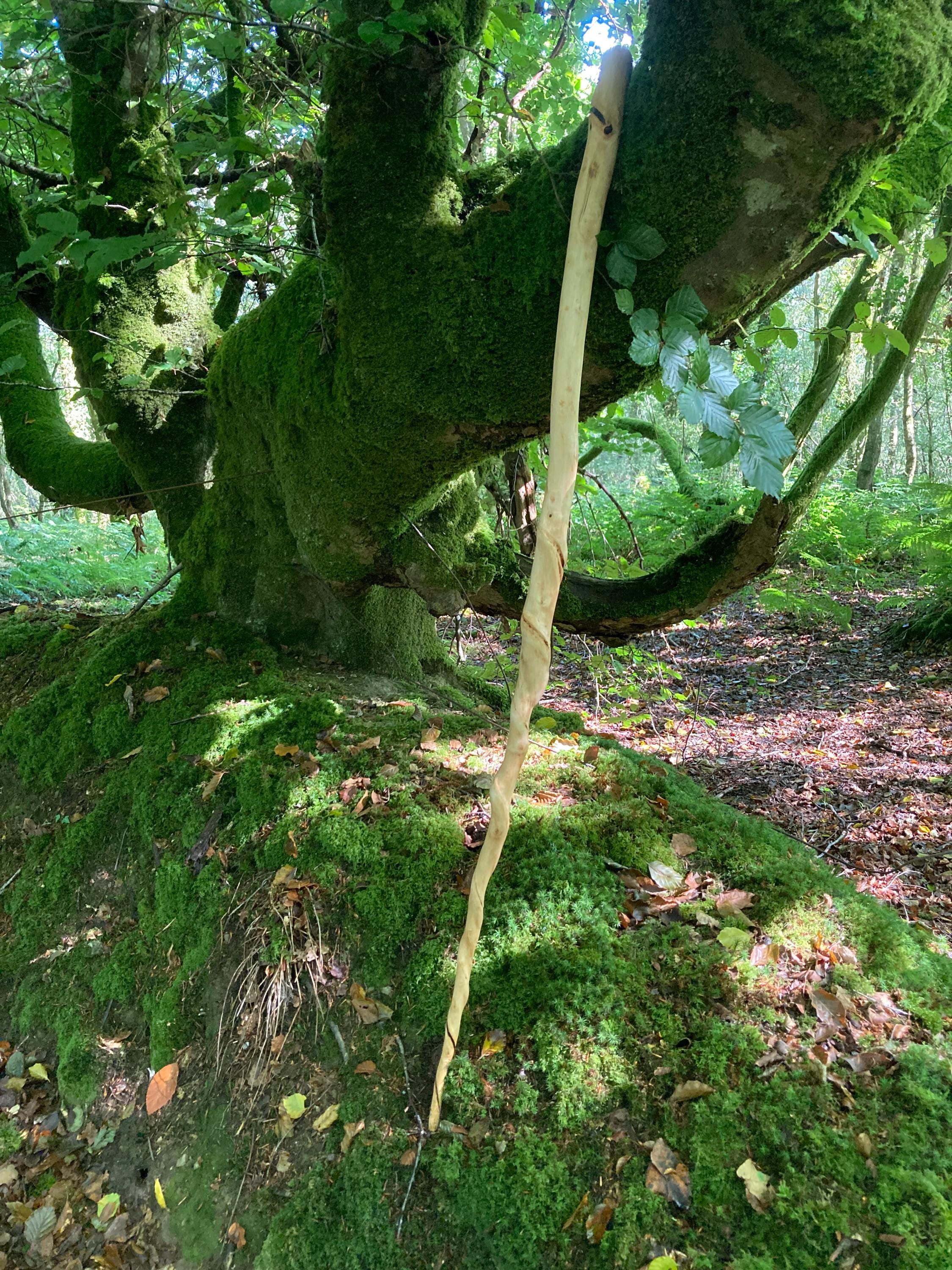 Silver Birch Twisted Walking Staff | Druid Staff | Wizard Staff | Witch ...