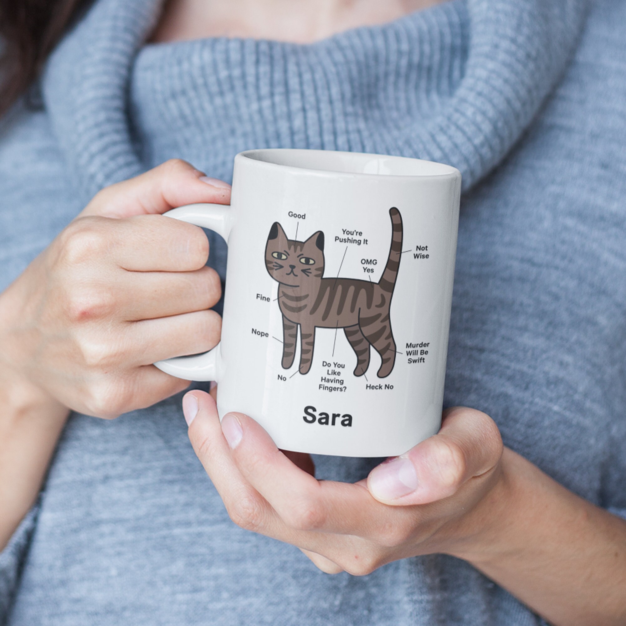 Custom Tabby Cat Diagram Mug | Personalized Tabby Cat Mug | Funny Gift ...