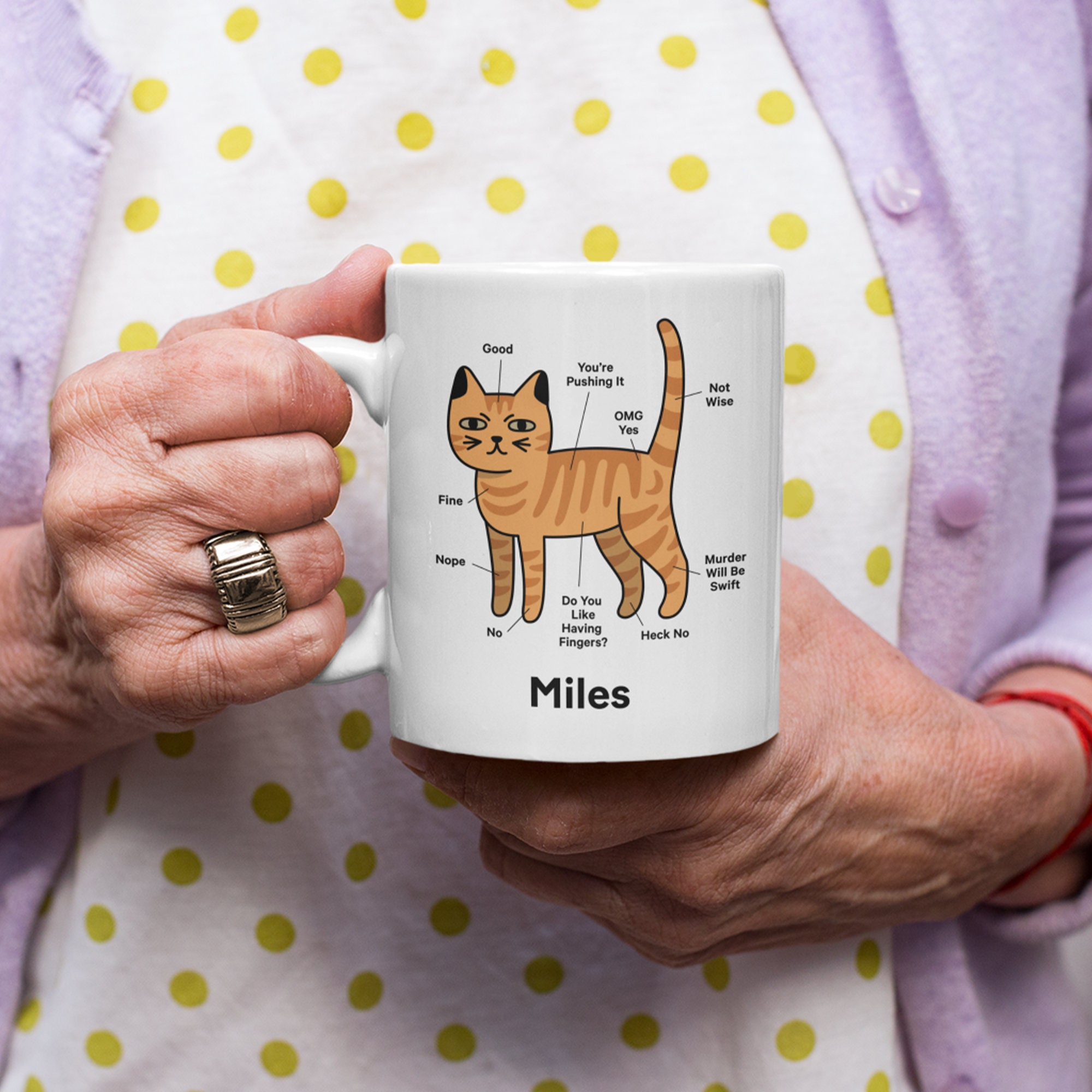 Custom Tabby Cat Diagram Mug | Personalized Tabby Cat Mug | Funny Gift ...