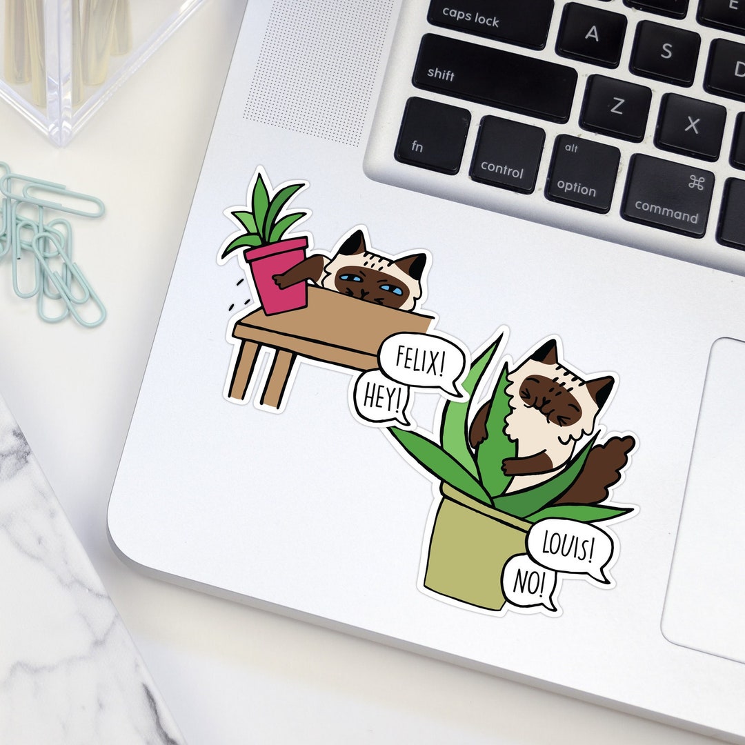 Custom Ragdoll Cat Sticker | Personalized Ragdoll Cat Sticker | Funny ...