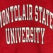Vintage 90s Montclair State University Champion Sportswear Sweatshirts ...
