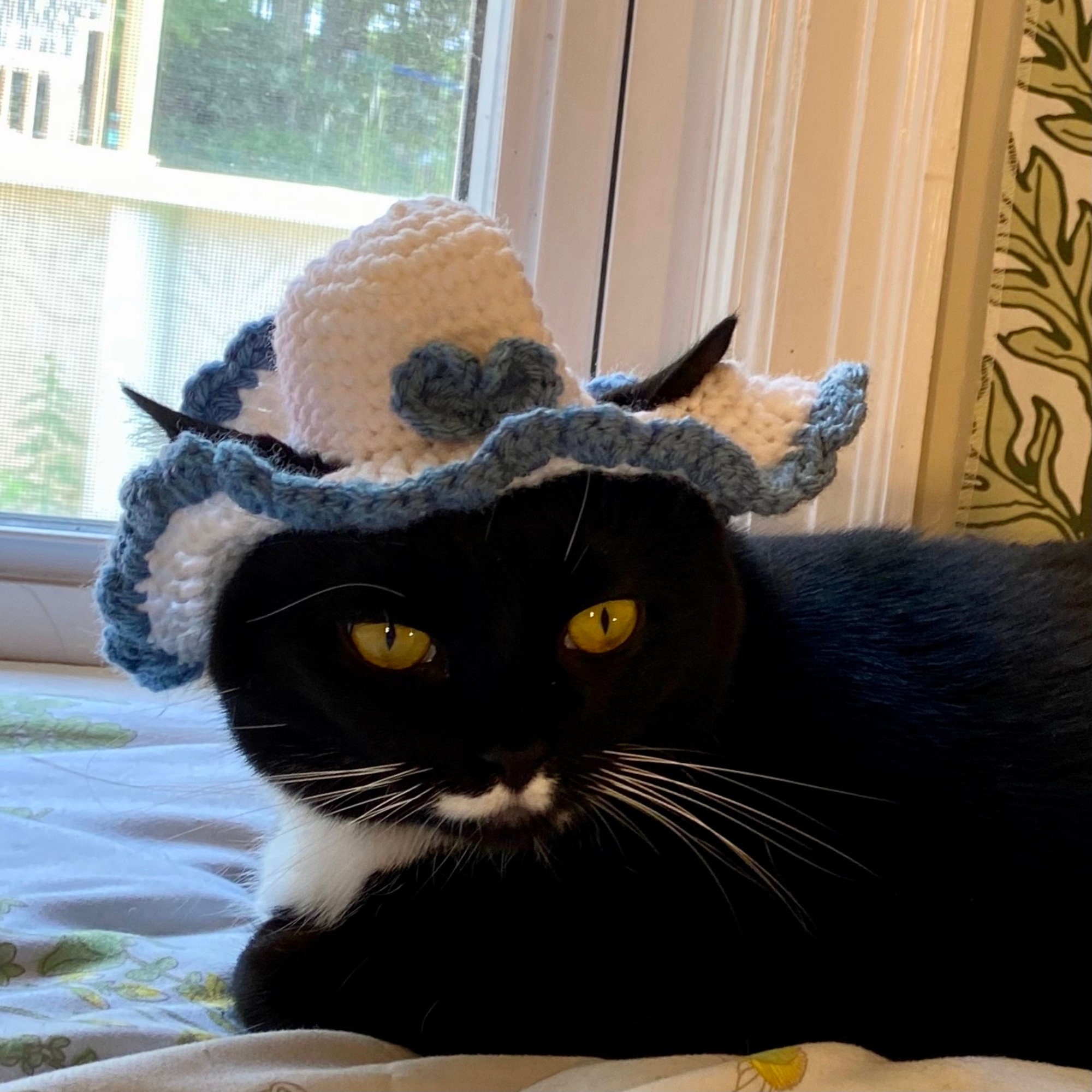 Crochet Cat Hat Sun Hat for Cats Cat Bucket Hat Cat - Etsy UK