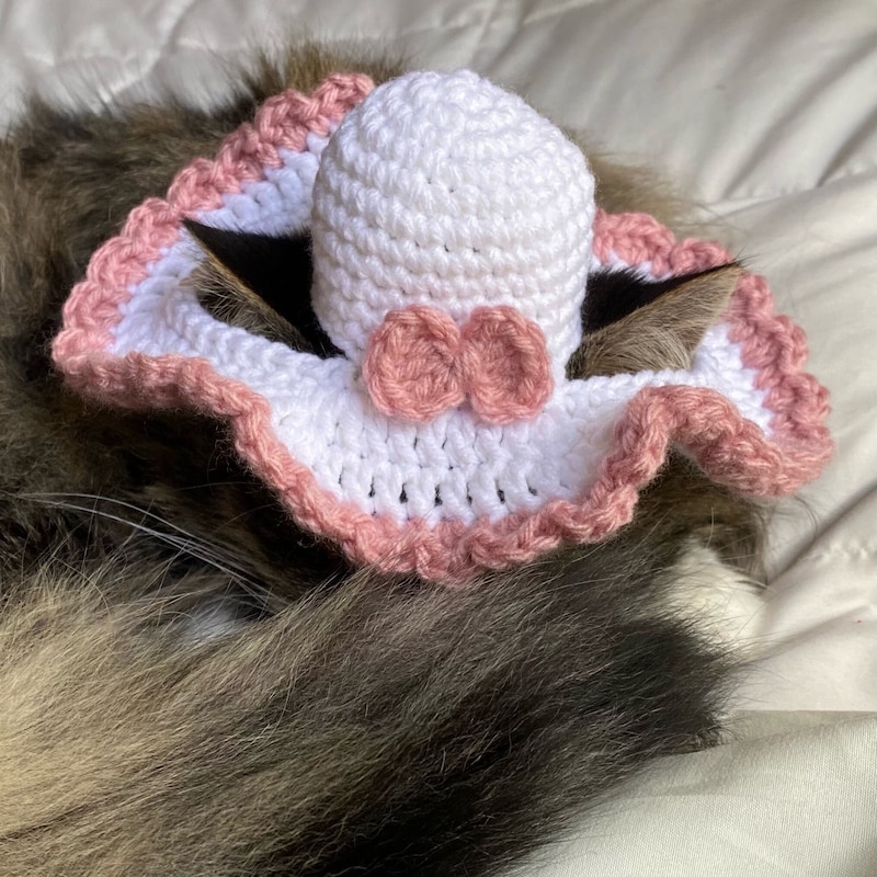 Cat Hats - Etsy