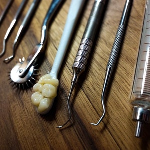 Resin Teeth Toothbrush: Novelty Gag Gift, Creepy Decor - Etsy