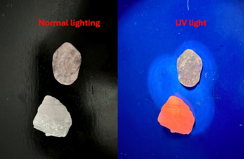 Fluorescent Mineral Starter Kit, STEM Educational Gift, Geology Kit for ...