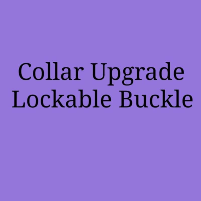 Locking Abdl Restraint Etsy