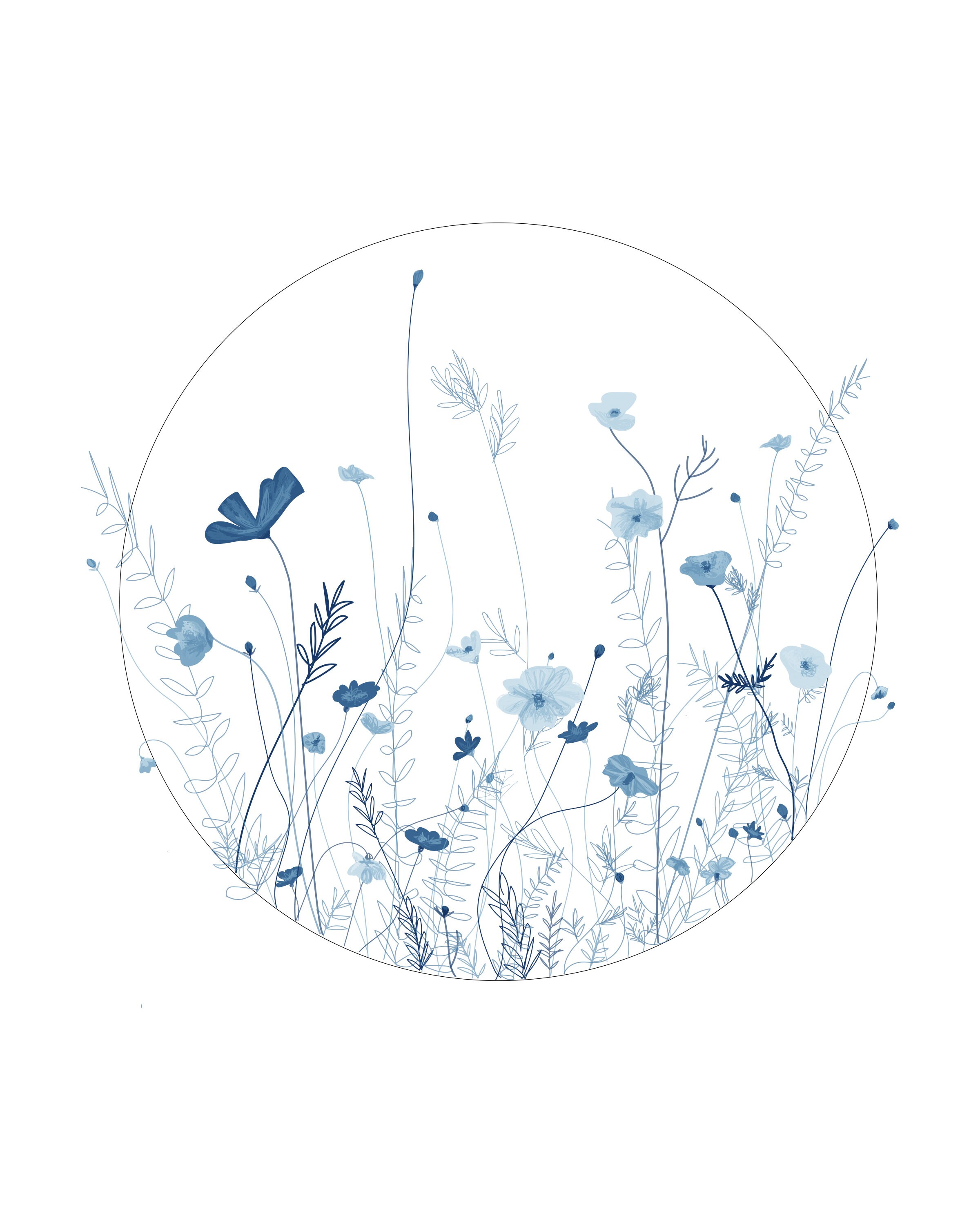 Circle Wildflower Line Drawing Botanical Wall Art Print Blue - Etsy