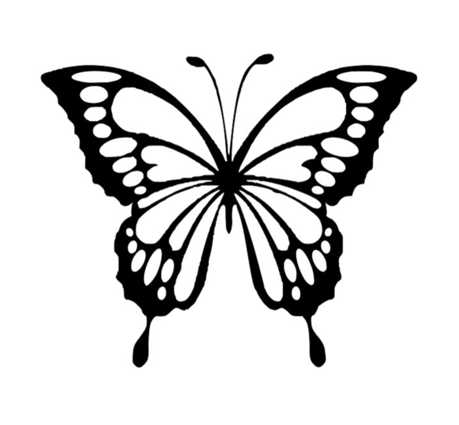 Butterfly Decal - Etsy