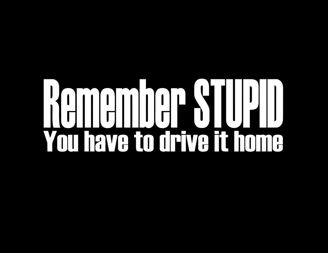 Funny 'remember Stupid' Car Truck Vinyl Decal - Etsy