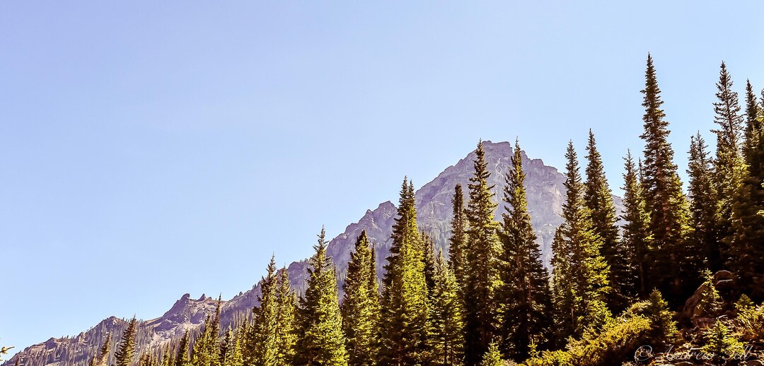 Rocky Mountains | Maroon Bells | Cabin Art | Wall Decor | Colorado ...