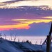 Beach | Sunset | Sunrise | Cape Cod - Etsy
