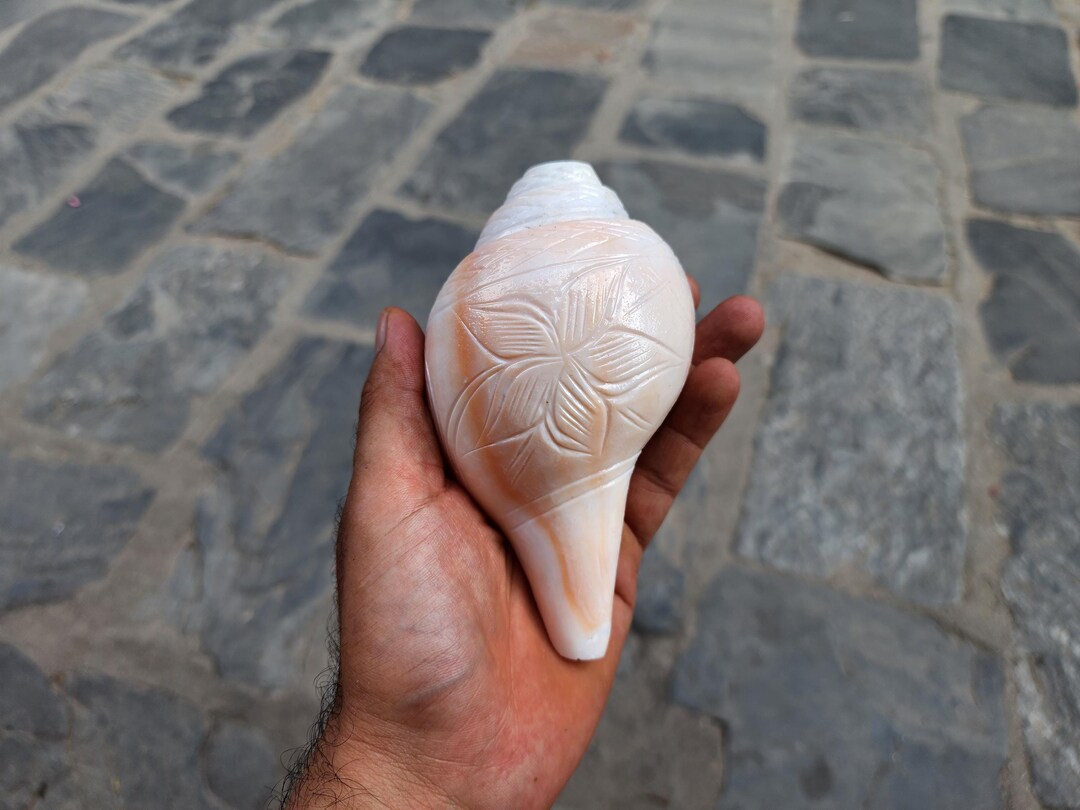 Rose Blowing Sankha, Hand Carved Flower Design Conch Shell, for Purity ...