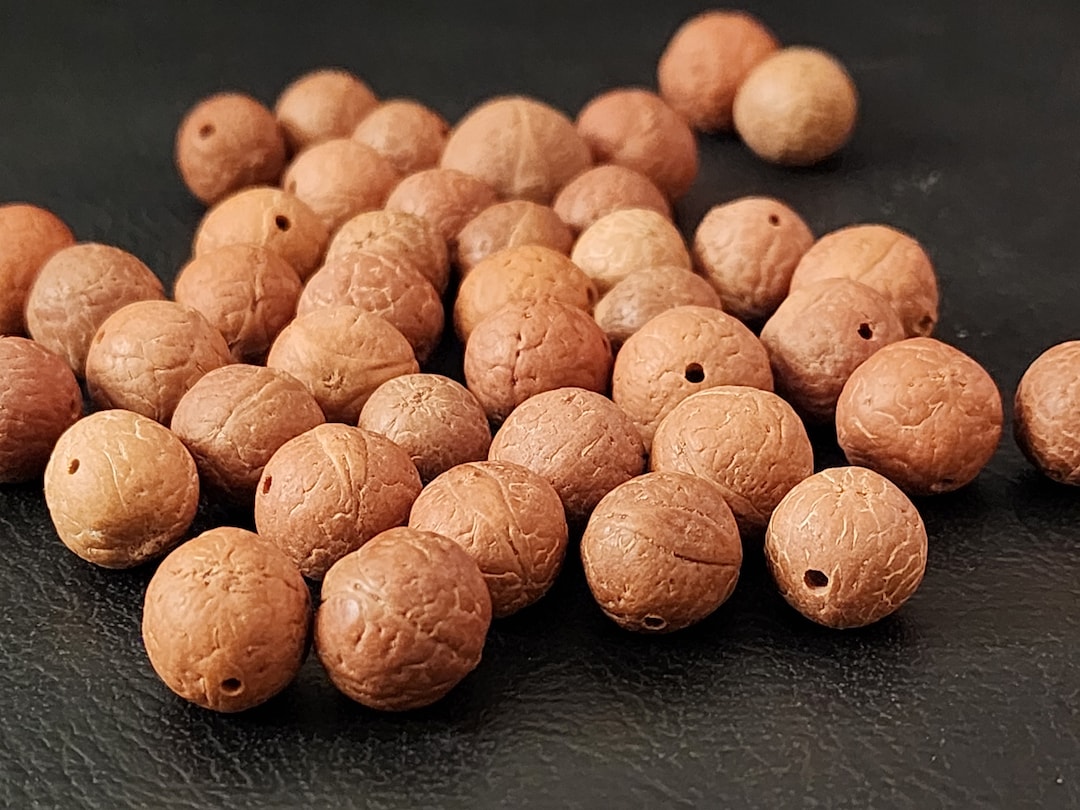 Phoenix Eye Real Nepali Bodhi Seed Beads Natural Buddhachitta Buddha ...