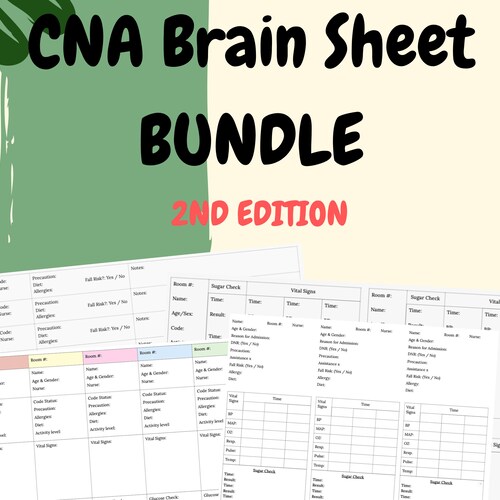 CNA/PCT 10 Patient Report Sheet - Etsy