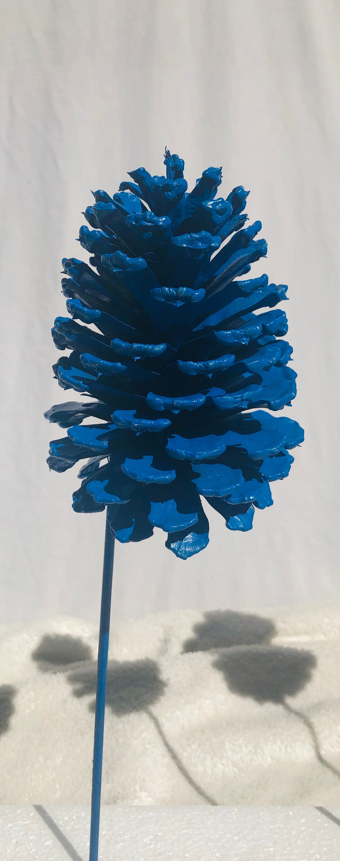 Large Painted Pinecones - Etsy