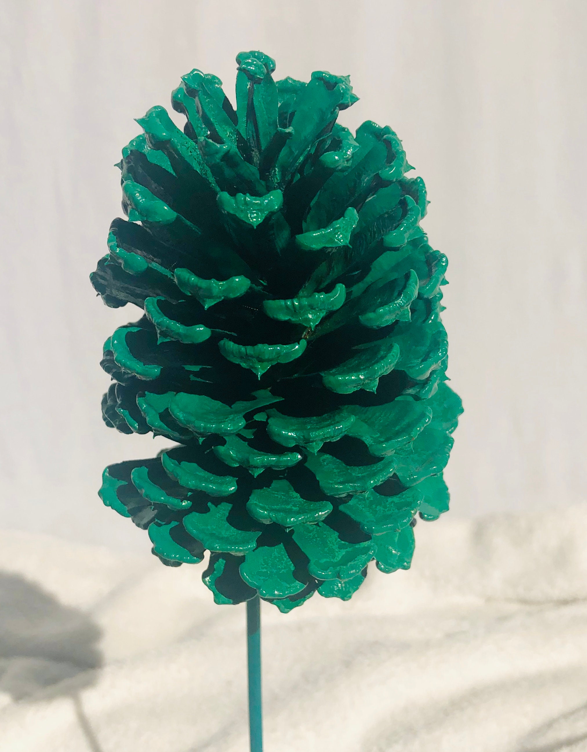 Large Painted Pinecones - Etsy