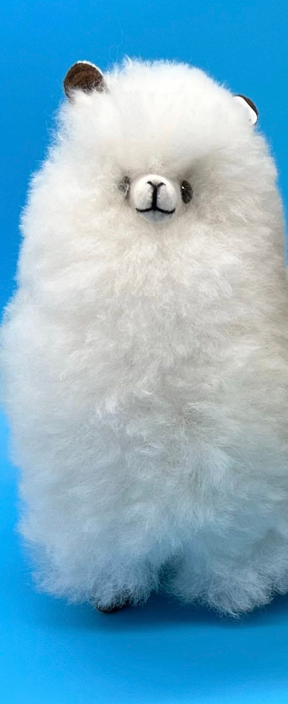 Super Fluffy Alpaca