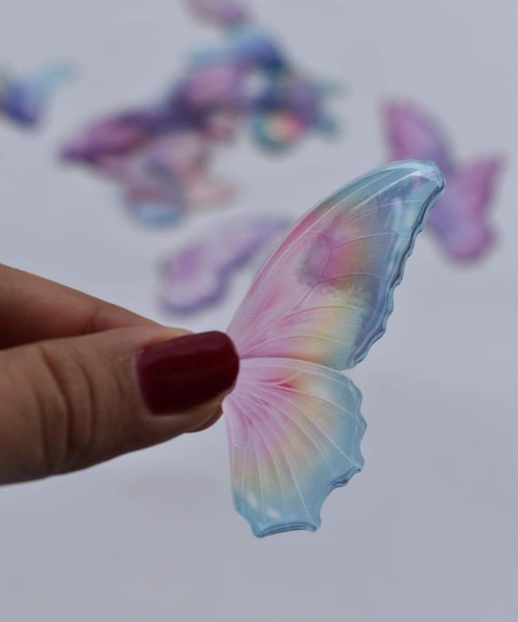 Fairy Wings Dozen Small Butterfly Wings Resin Wings Colorful Acetate Wings Fairy Wings Crafting Wings Little Wings Etsy Canada