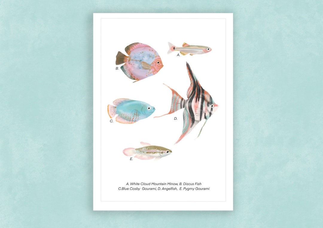 Colourful Pastel Fish Art Print, Fish Wall Art, Illustration A5, A4 - Etsy