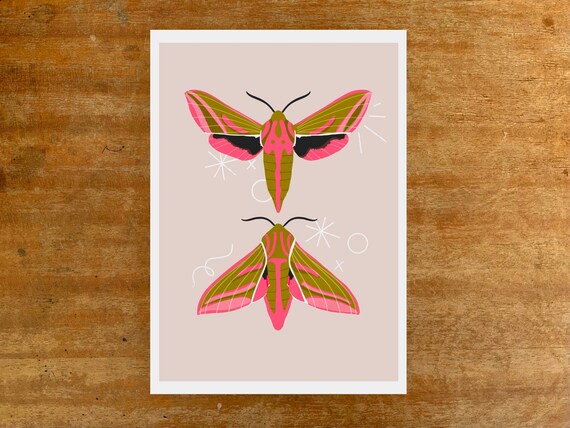 Pink Moth Art Print Butterfly Wall Art Illustration A5 A4 | Etsy