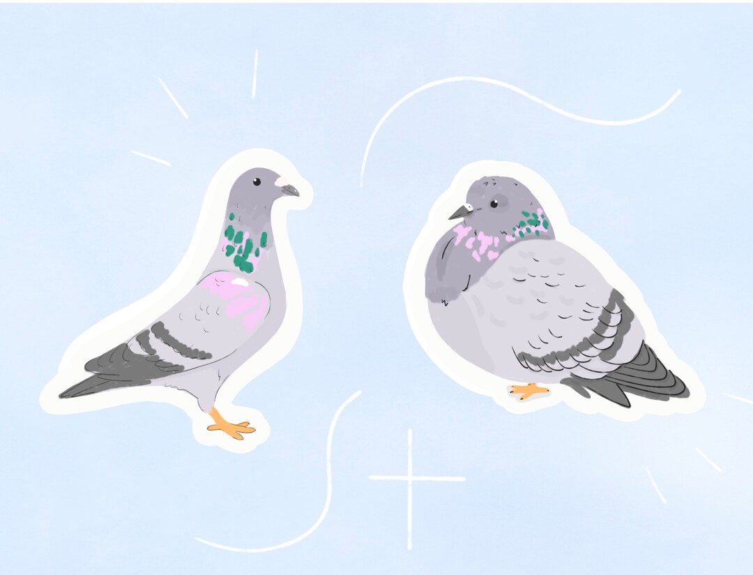 Pigeon Sticker Set, Diecut Sticker Pack, Cute Illustrated Bird Sticker ...
