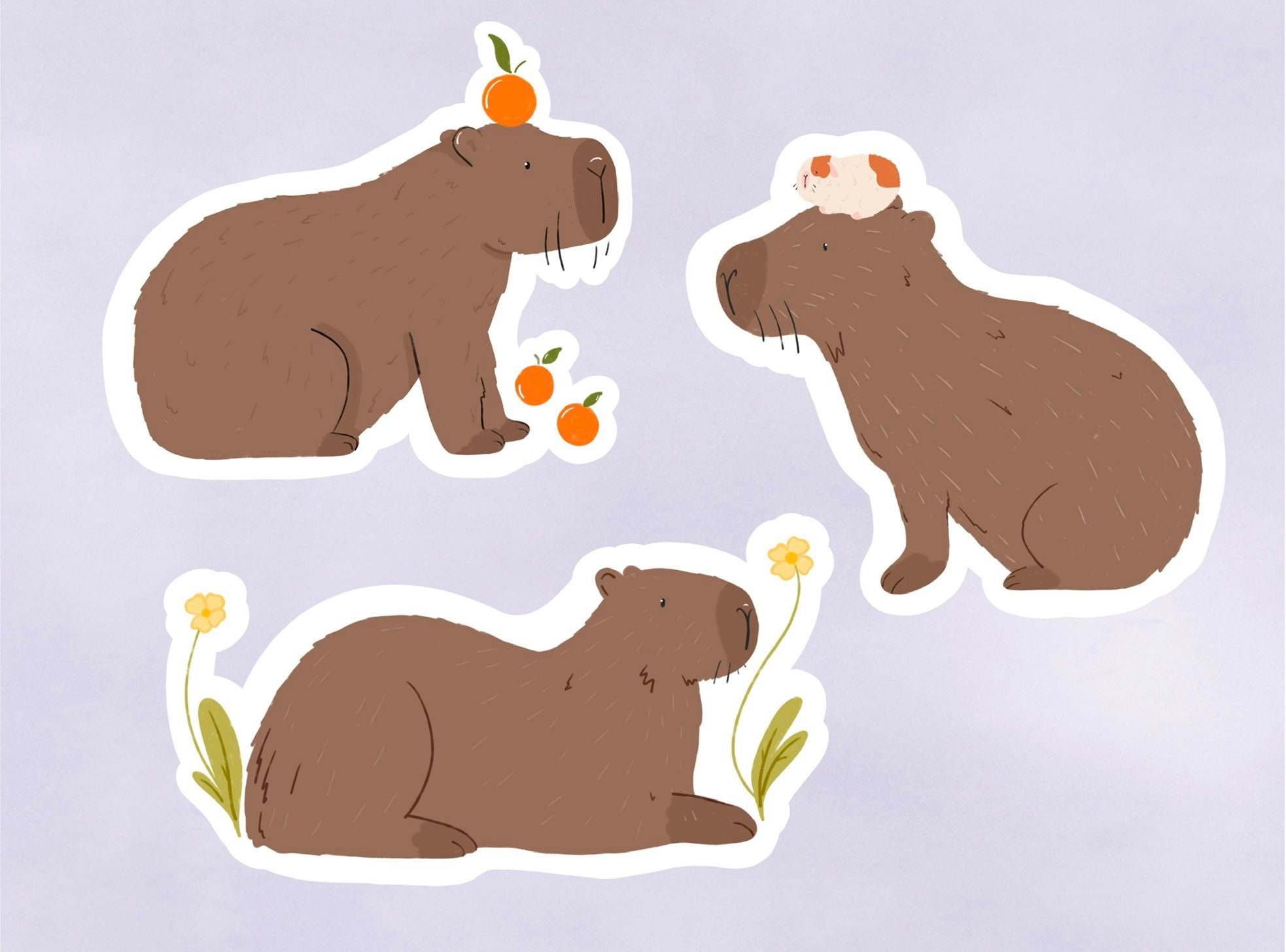 Capybara Sticker Set Diecut Sticker Pack Cute Illustrated - Etsy UK