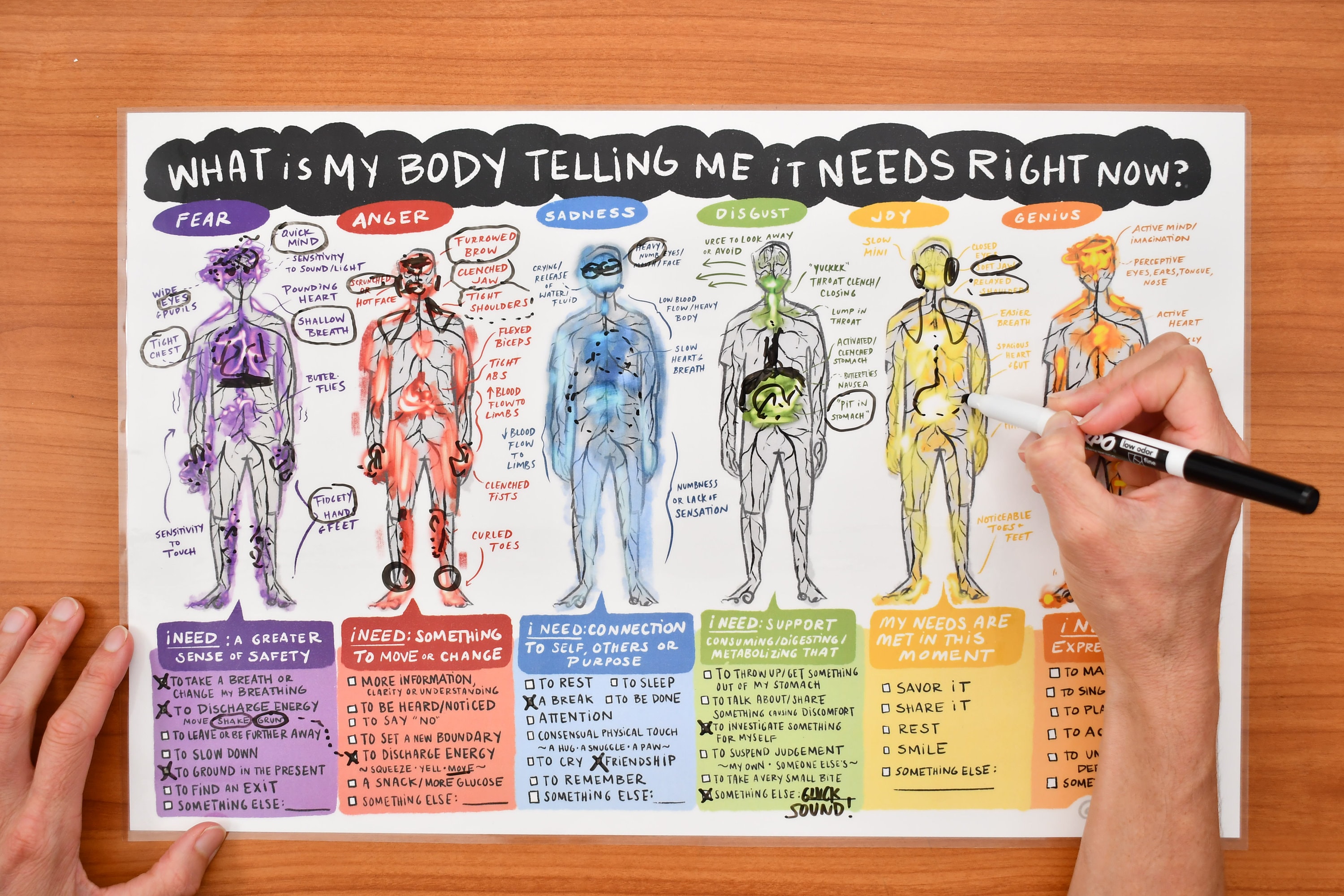 Body Sensations "what Do I Need?" *wipeable* Worksheet Chart - Etsy