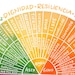 Spanish Emotion Wheel *digital Download* Personal Use - Etsy