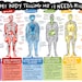 Body Sensations "what Do I Need?" Chart: *personal Digital Download* - Etsy