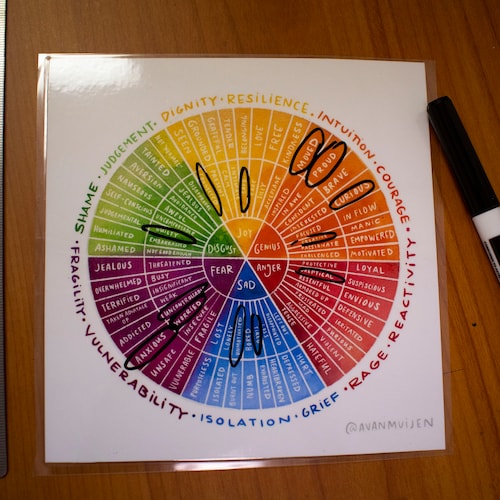 Pocket-sized wipeable Emotion Wheel - Etsy