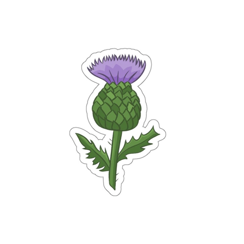 Scottish Thistle - Etsy