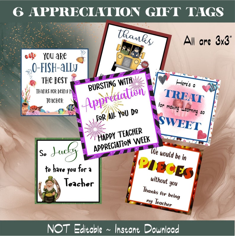 6 APPRECIATION GIFT Tags-different Designs-good for Teachers-assistants ...