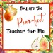 TEACHER APPRECIATION Gift Tags for Teachers -staff-personnel-others ...