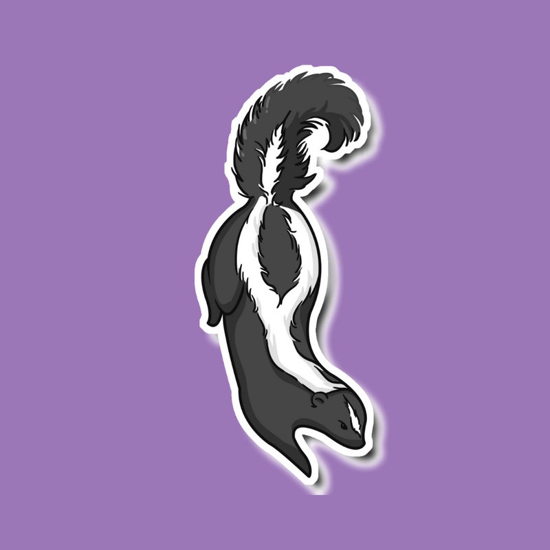 Skunk Sticker - Etsy