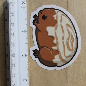 Cute Cinnamon Roll Toad! Super Adorable Kawaii Amphibian Friend-for ...