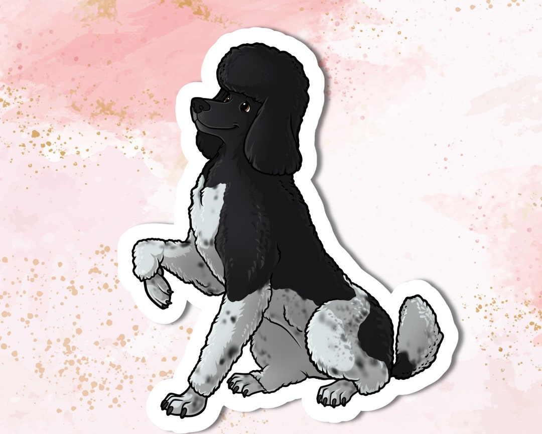 Standard Poodle Black and White Parti Mix Super Kawaii Sticker Adorable ...
