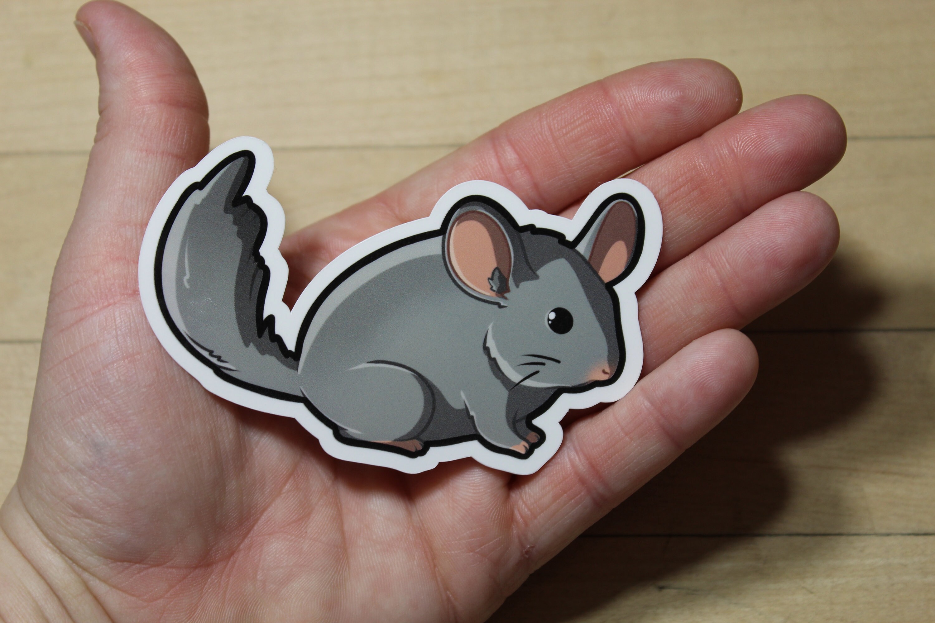 Kawaii Grey Chinchilla. Super Adorable Kawaii Chinchilla | Etsy
