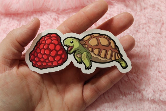 Turtle Eating Raspberry