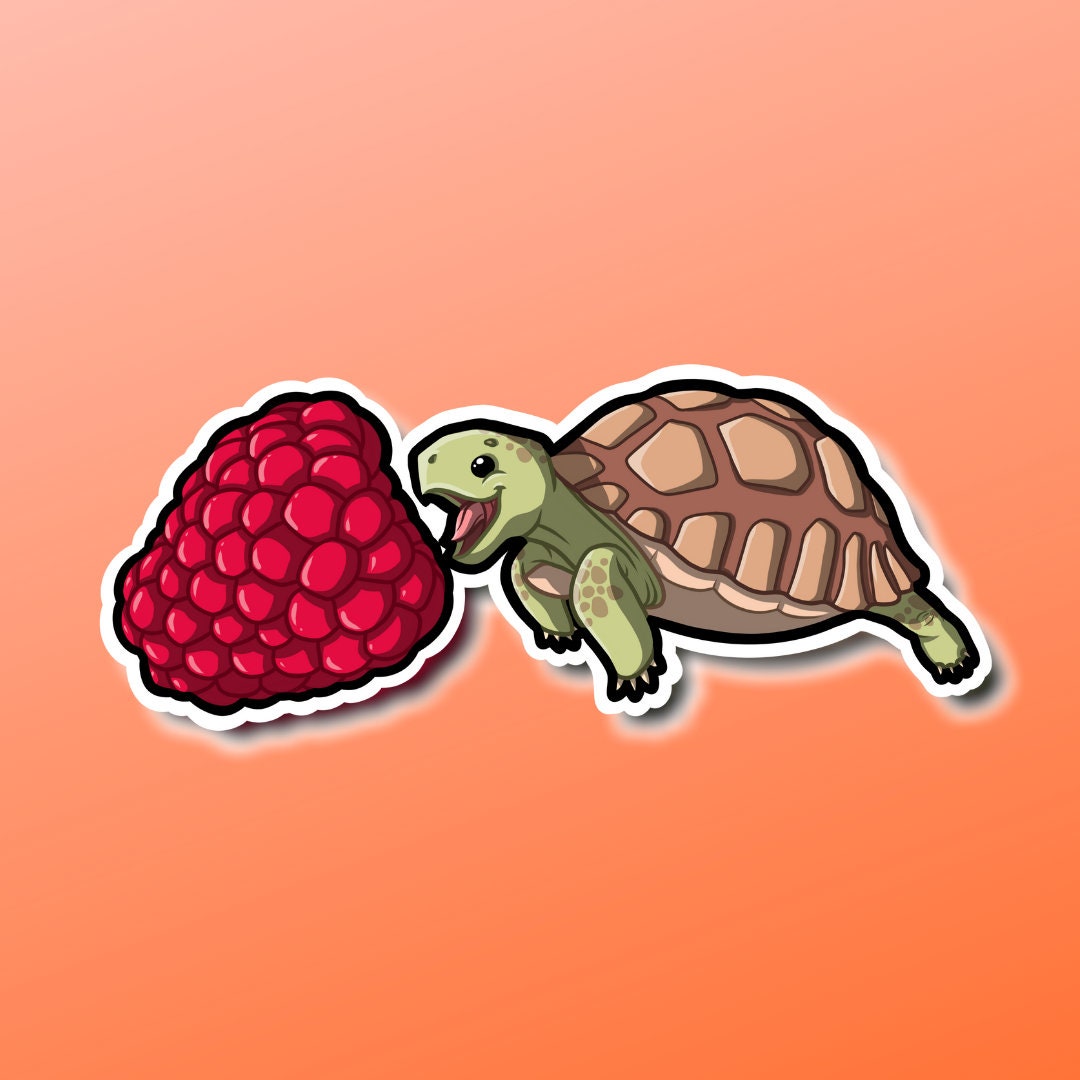 Turtle Eating Raspberry
