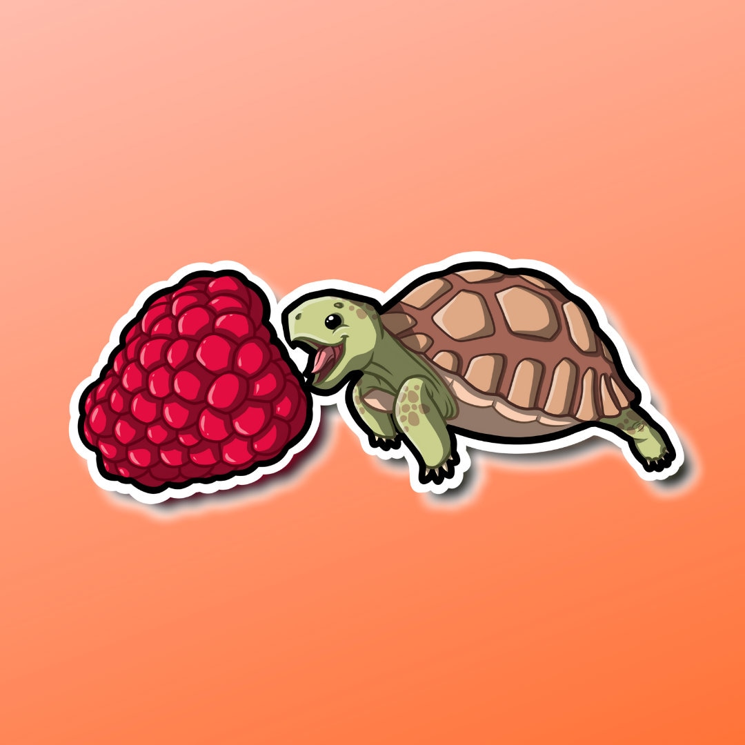 Turtle Eating Raspberry