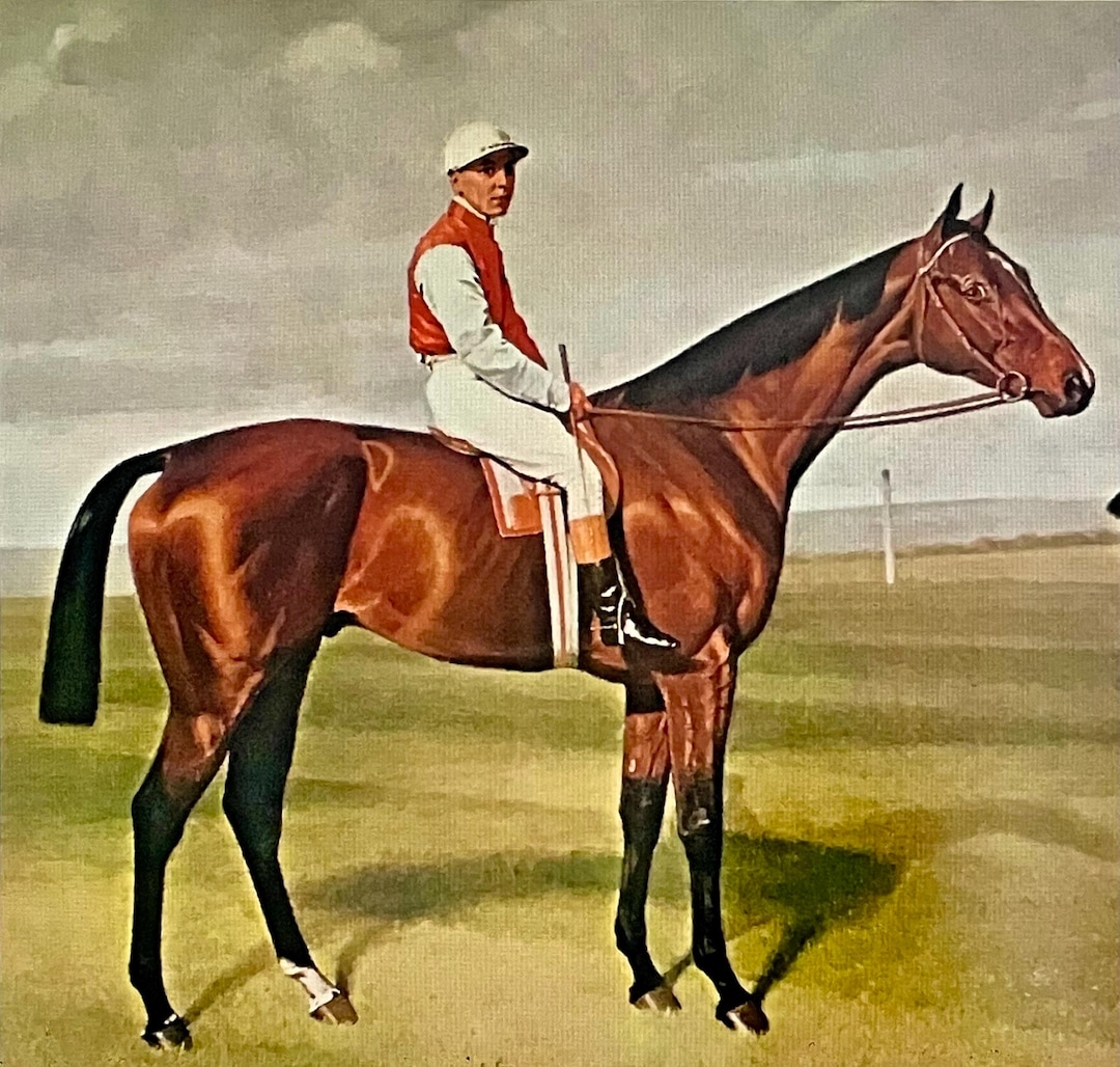 Thoroughbred Equestrian Horse Jockey Print Emil Adam "isingling" Signed ...