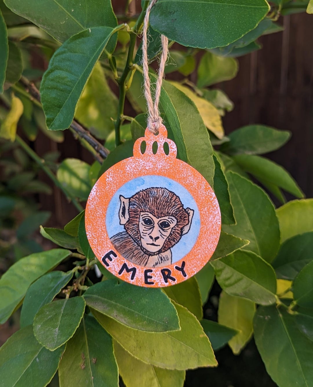 Hand-painted Monkey Christmas Ornament: Personalized Zoo Animal ...
