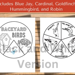Backyard Bird Coloring Spinner Wheel Craft, Backyard Bird Craft, Birds ...