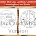 Backyard Bird Coloring Spinner Wheel Craft, Backyard Bird Craft, Birds ...